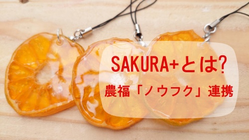 SAKURA+とは ? | 社会福祉法人 蓬莱会