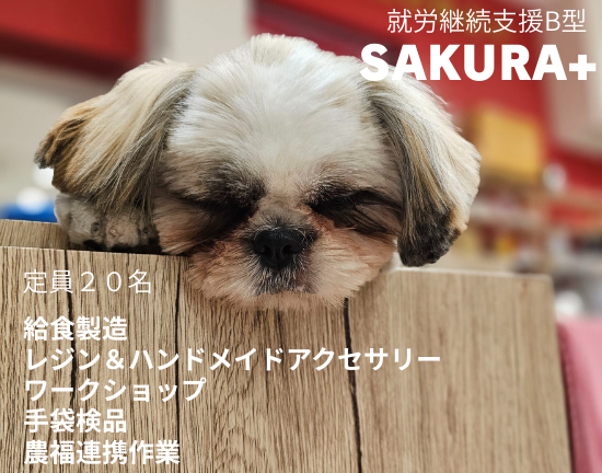 社会福祉法人 蓬莱会 | SAKURA+